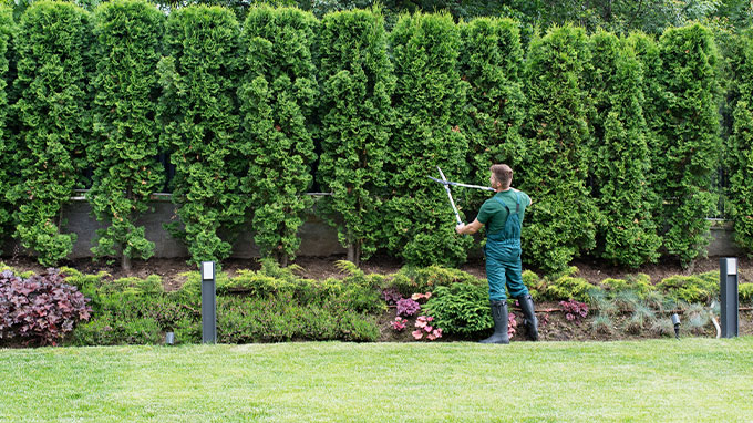 Arborists Insurance with King Risk Partners